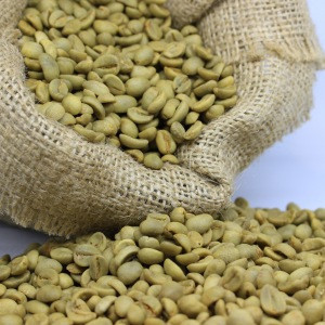 Buy Flores Arabica Green Coffee Bean from PT. VARION MITRA JAYA ...