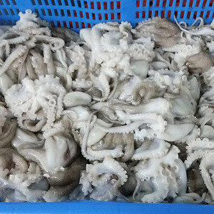 Buy Frozen Blanched Baby Octopus Flower from Dandong Galicia Seafood Co ...