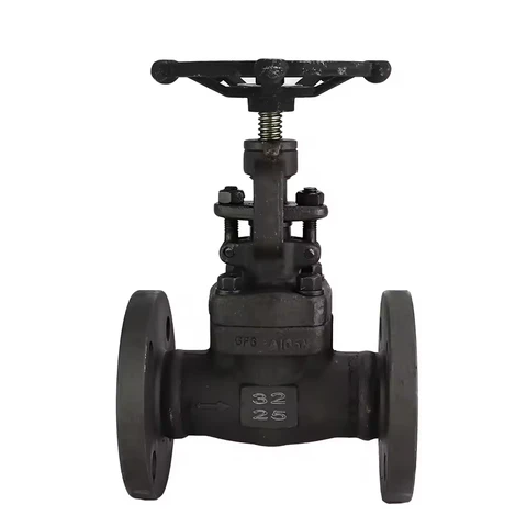 Buy High Pressure High Quality Dn15 Forged Steel Flange Gate Valve ...