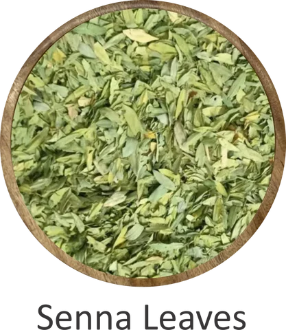 Buy High Quality Senna Leaves With 100% Naturally Made Senna Leaves For ...