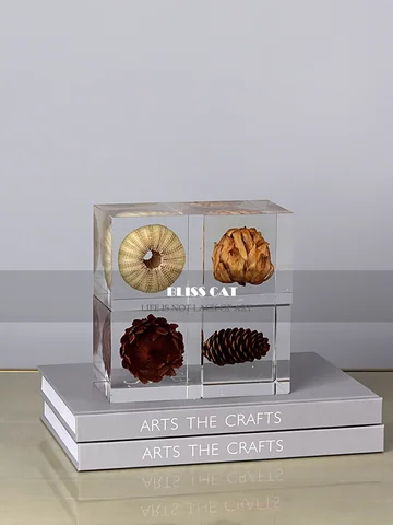 Buy Real Butterfly Specimen Encased In Acrylic Beautiful Butterfly ...