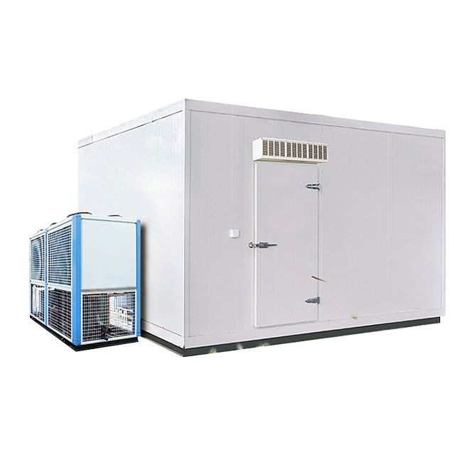 Buy Cold Room Storage Walk In Cooler Walk In Freezer For Meat/vegetable ...