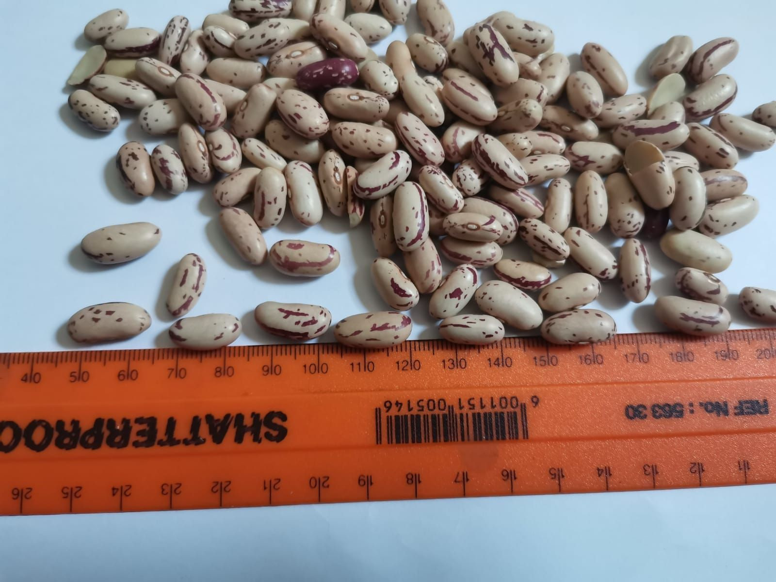 Buy Red Speckled Sugar Beans from House of Cashews, South Africa ...