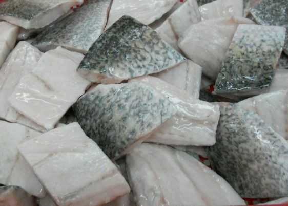 Buy Frozen Barramundi Fillet Skin-on Porttion Cut from Time Enterprise ...