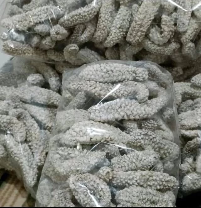 Buy Sea Cucumber, Gamat , Jelly from PT. Cahaya Sukma Aji, Indonesia ...
