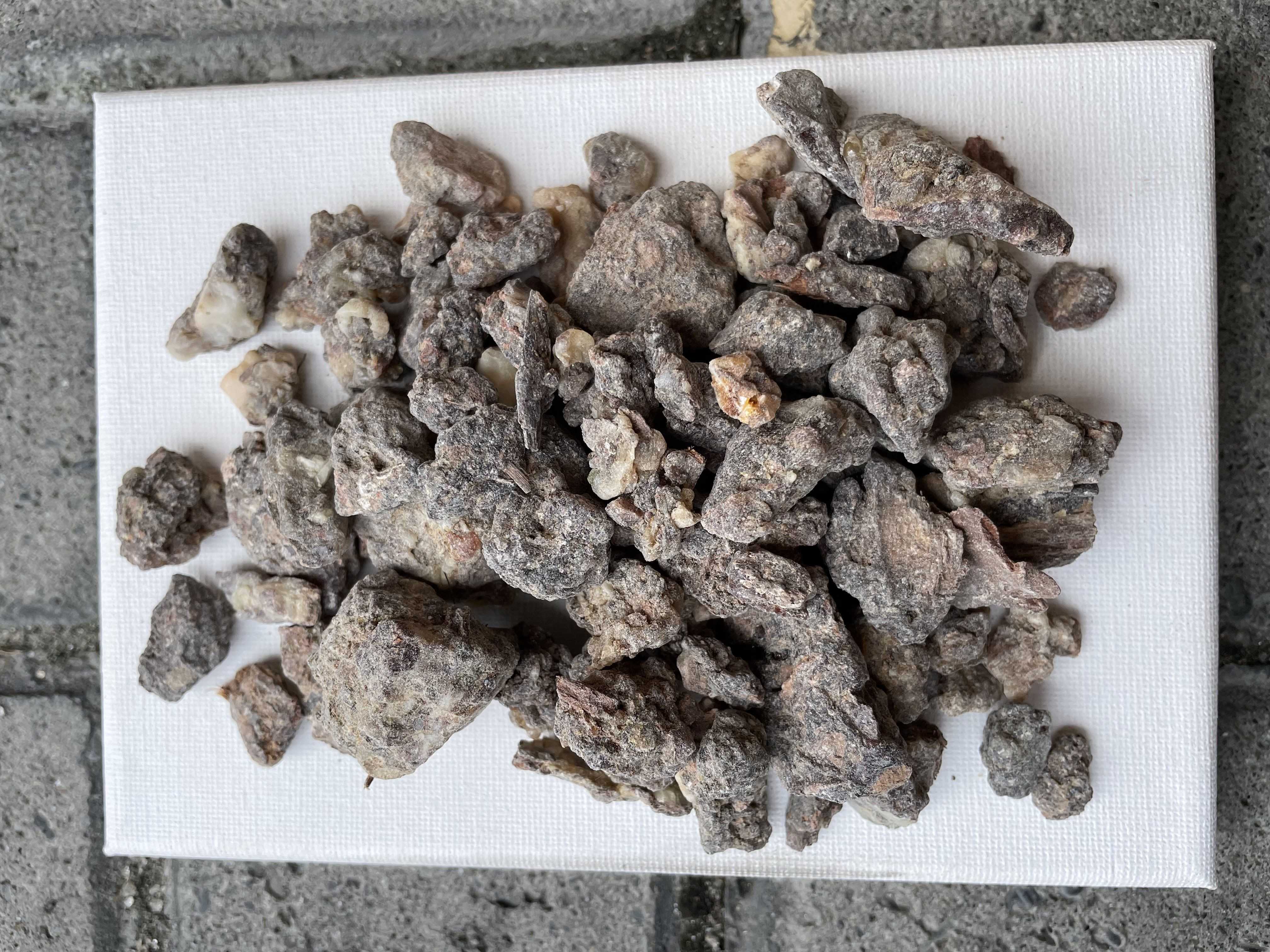 Buy Benzoin Sumatra (grade C) from Toba Wira Agrindo, PT, Indonesia ...