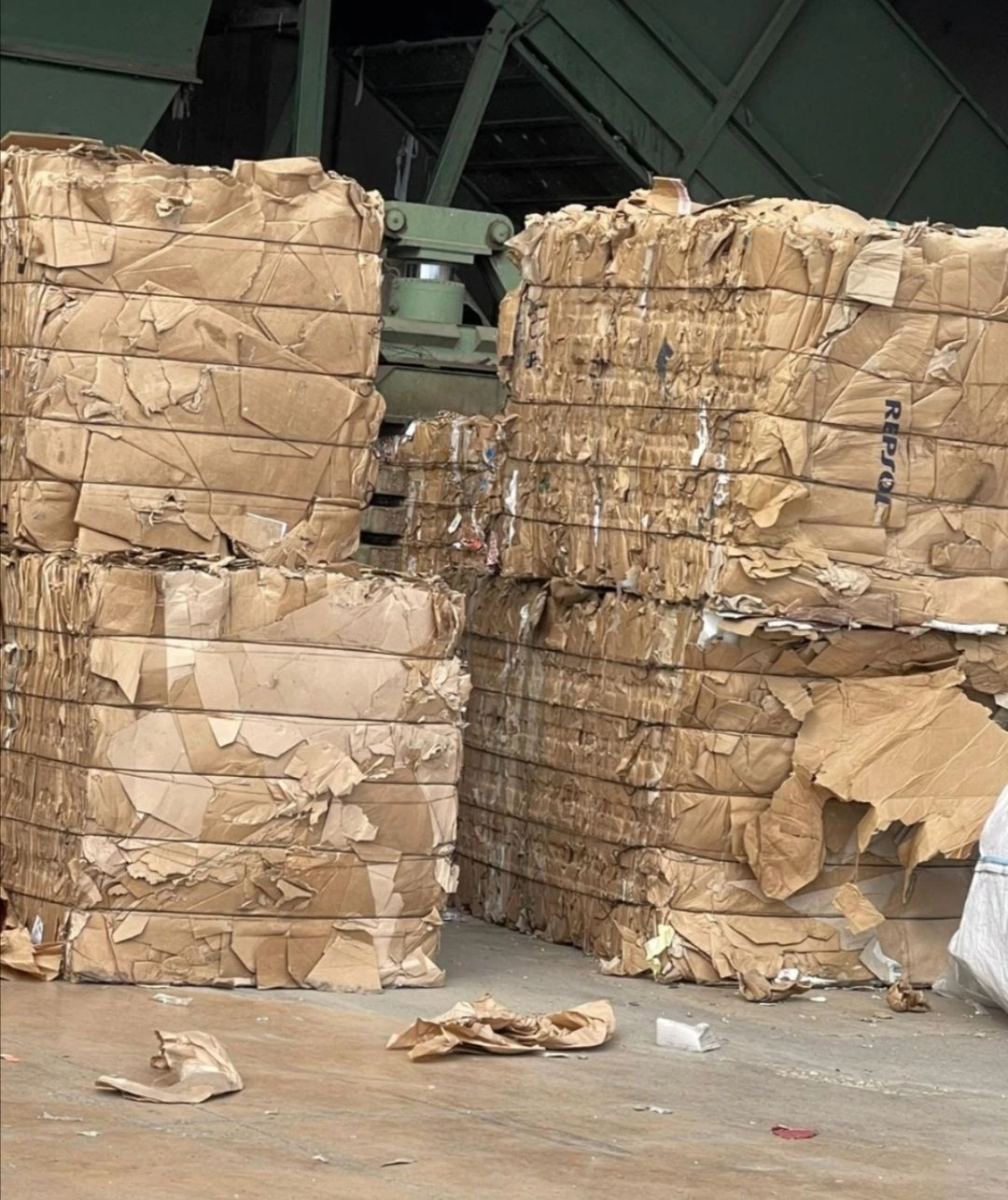 Buy Occ Brown Waste Paper from FORTE AGROPRODUCTS) OPC) PVT. LTD ...