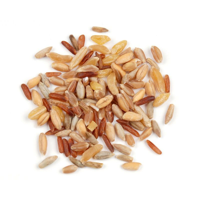 Buy Natural Organic Whole Wheat Grains Wheat Grain In Bulk / Hight ...