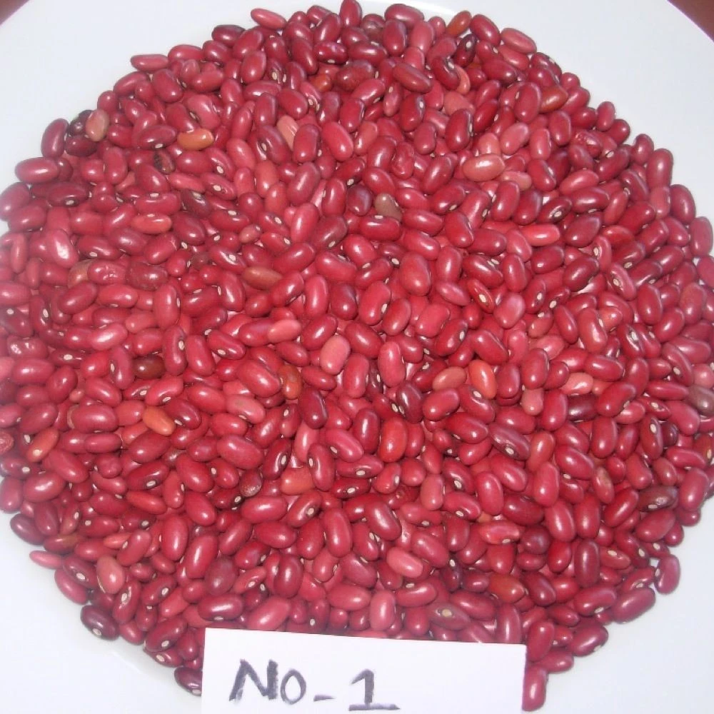 Buy Red Sugar Beans from GD Distributions limited, United Kingdom ...