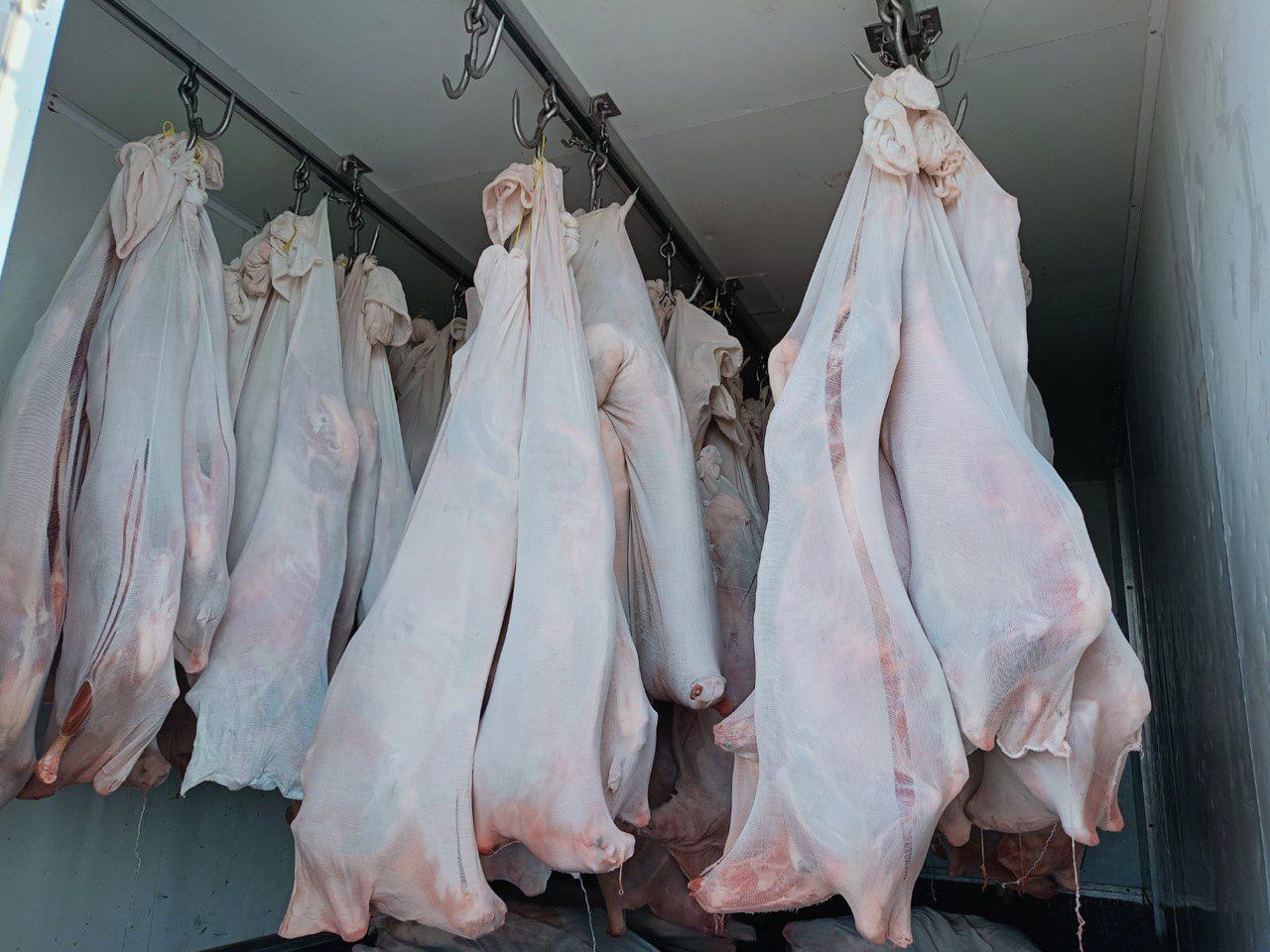 Buy Frozen And Chilled Meat from alfayd alakhdar trading, Qatar ...