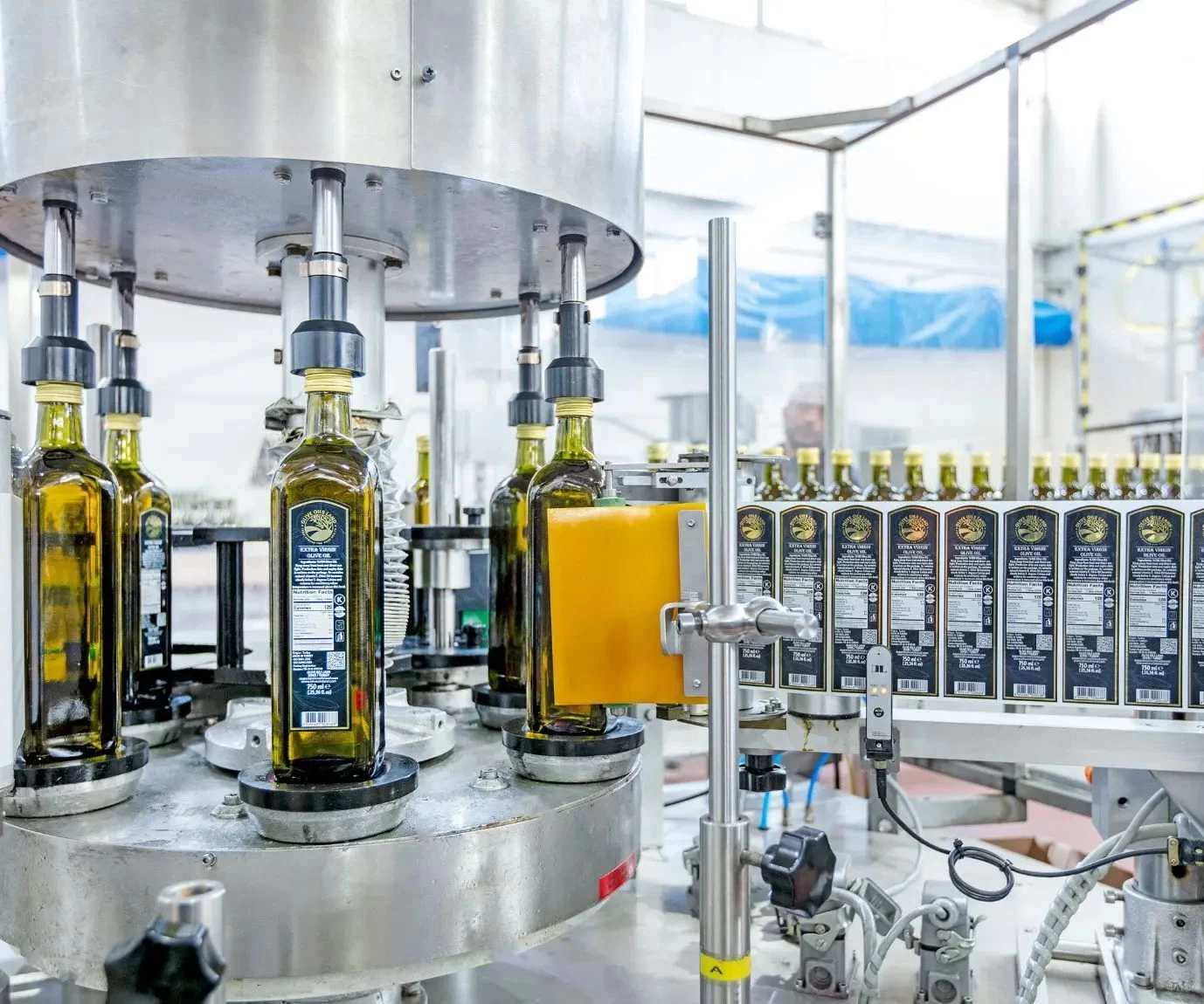 Buy Extra Virgin Olive Oil | Oliveoilsland® from OliveOilsLand Olive ...