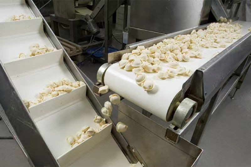 Buy Food Conveyor Belts from NANJING SHENGGAO NEW MATERIALS INDUSTRY CO ...