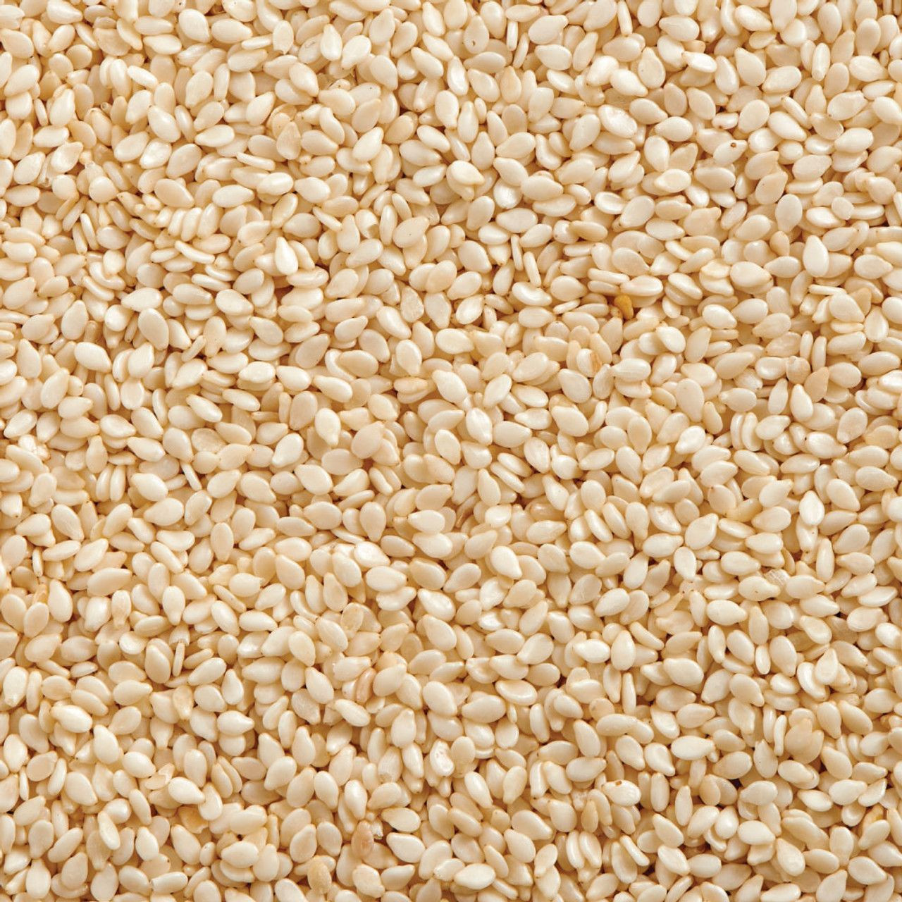 Buy Top Quality Raw Sesame Seed Offered In Bulk Fresh White Sesame Seed ...