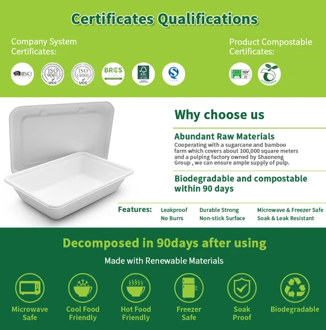 Buy 1000ml Thick Rim 100% Biodegradable & Compostable Bagasse ...