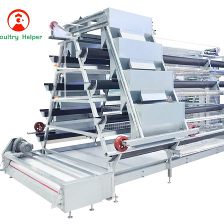 Buy Complete Pullets Rearing Animal A Layer-type Cages System Poultry ...