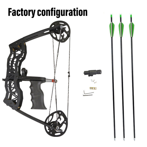 Buy Composite Bow Mini Compound Fishing Bow And Arrow Fish Archery 40 ...