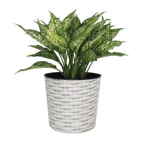 Buy Econo Wholesale Chinese Small Painting Plastic Colorful Indoor ...