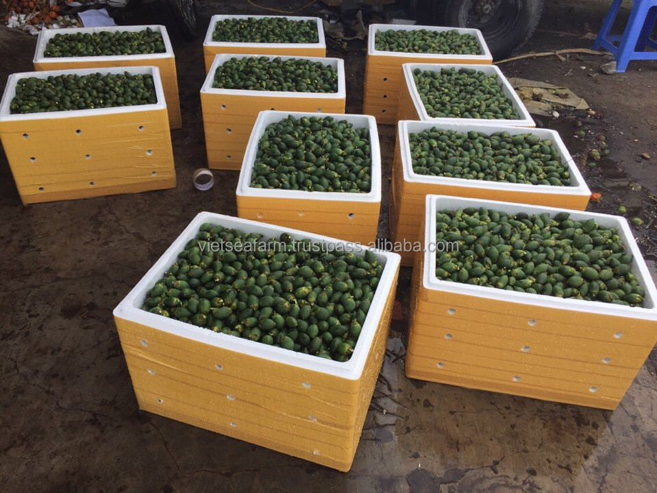 Buy High Quality Fresh Betel With The Limited Quantity from VIET ...