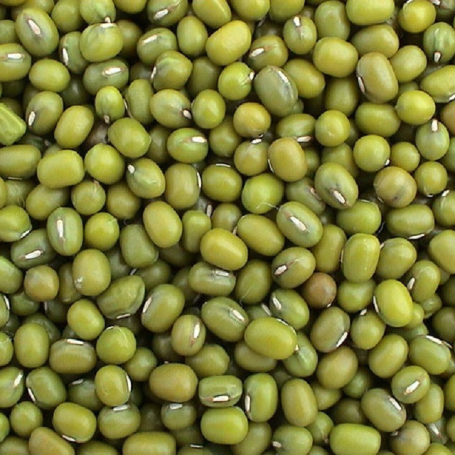 Buy Organi Green Mung Beans from Bluebonnet Trading LLC, USA ...