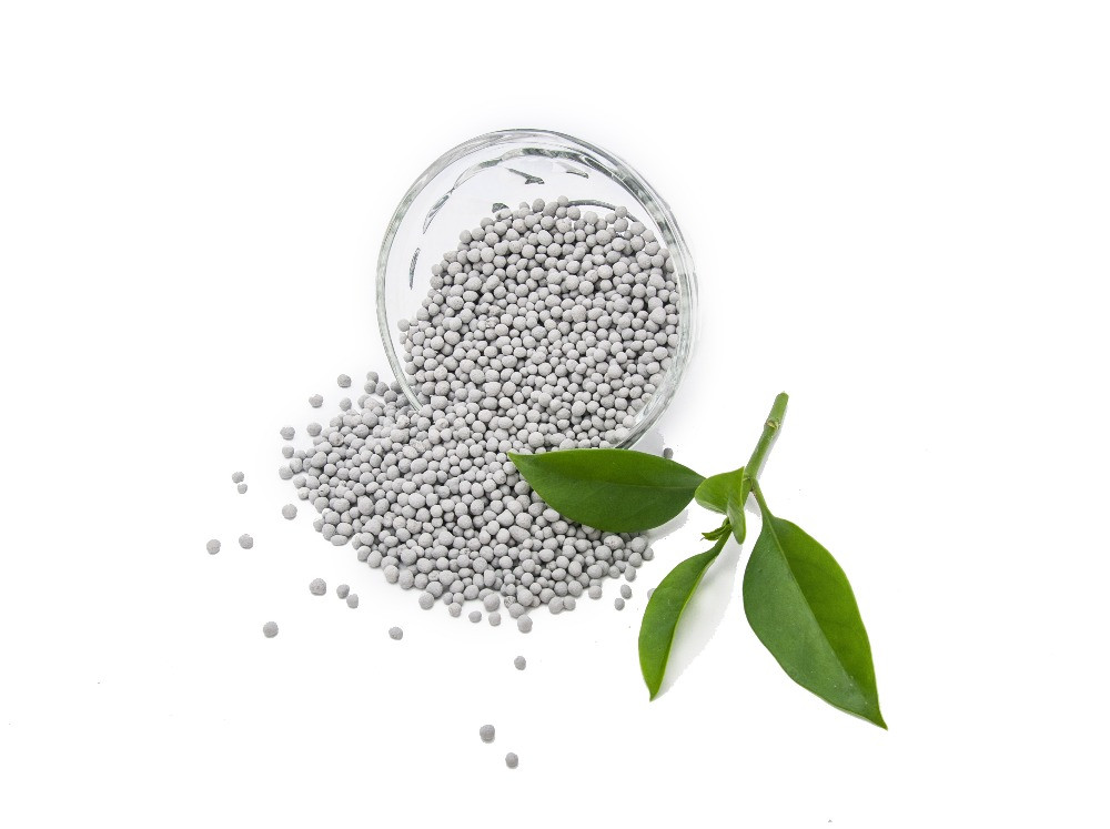Buy Organic Fertilizer Guano Granular High Phosphate Low Price Ecocert ...