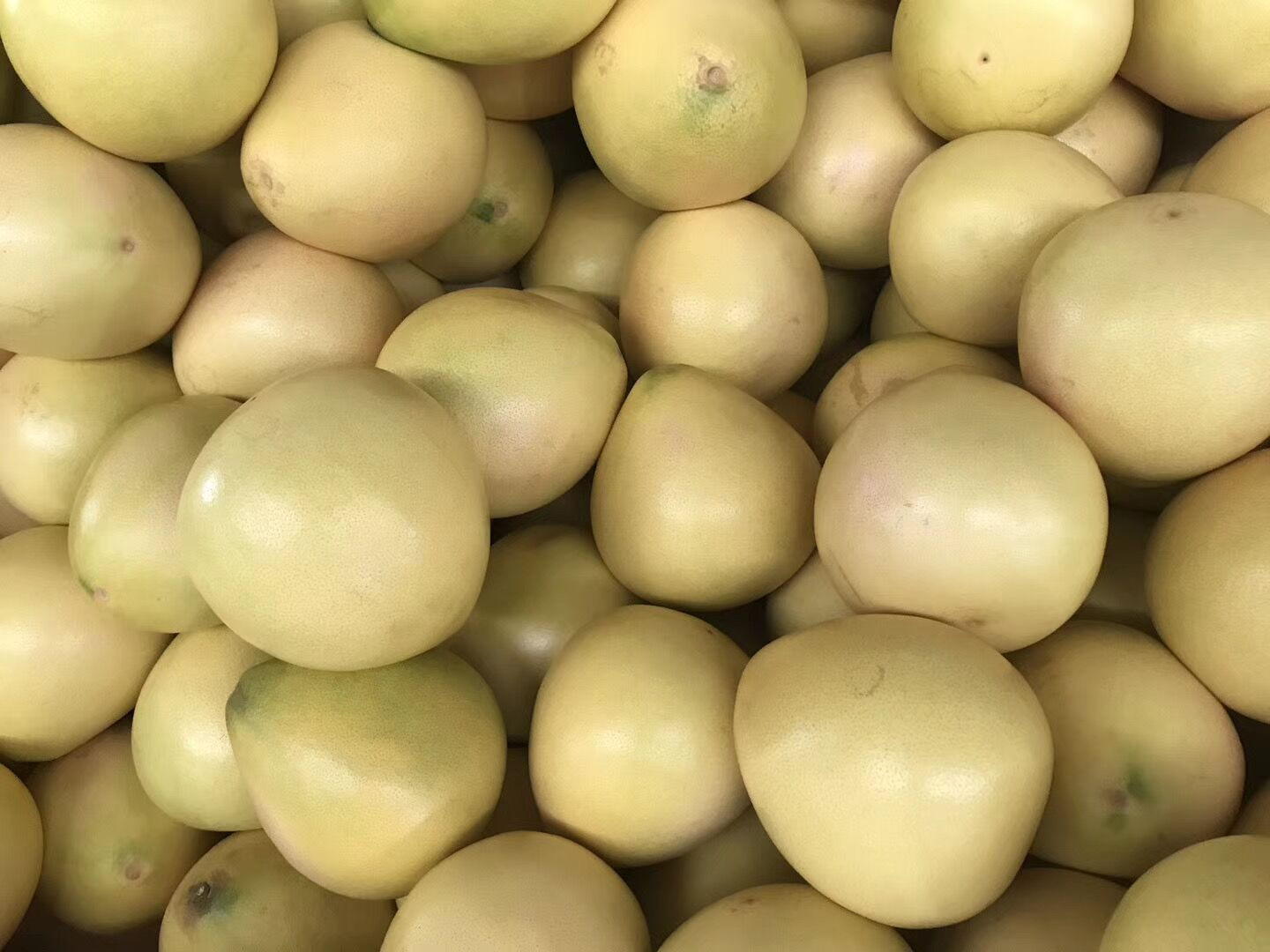 Buy Red Meat Pomelo Chinese Red Grapefruit Vitamin C Pomelo Fruit from ...