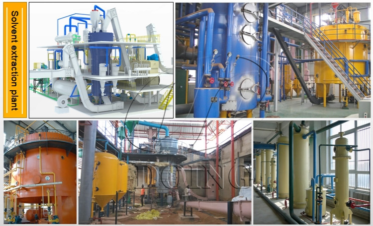 Buy Soybean Oil Processing Machines From Cracking Soybean To Soya Oil ...
