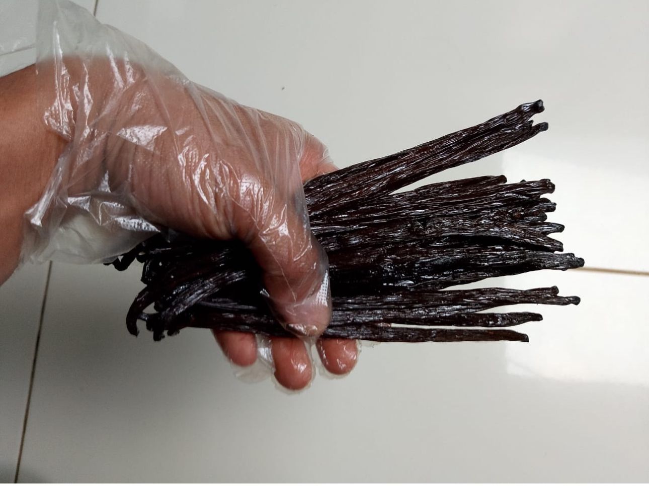 Buy Java Vanilla Beans from PT,NUSANTARA AGRARIAN RESOURCES, Indonesia ...