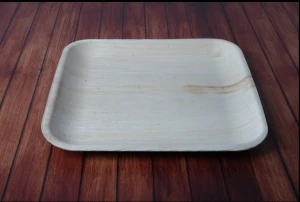 Buy Square Plate from Areca Leaf Products, Canada | Tradewheel.com