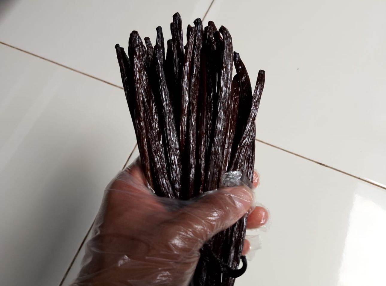 Buy Java Vanilla Beans from PT,NUSANTARA AGRARIAN RESOURCES, Indonesia ...