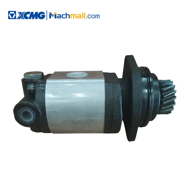 Buy Xcmg Crane Spare Parts Steering Oil Pump Qc25/13-xza Or Zcb125-250 ...