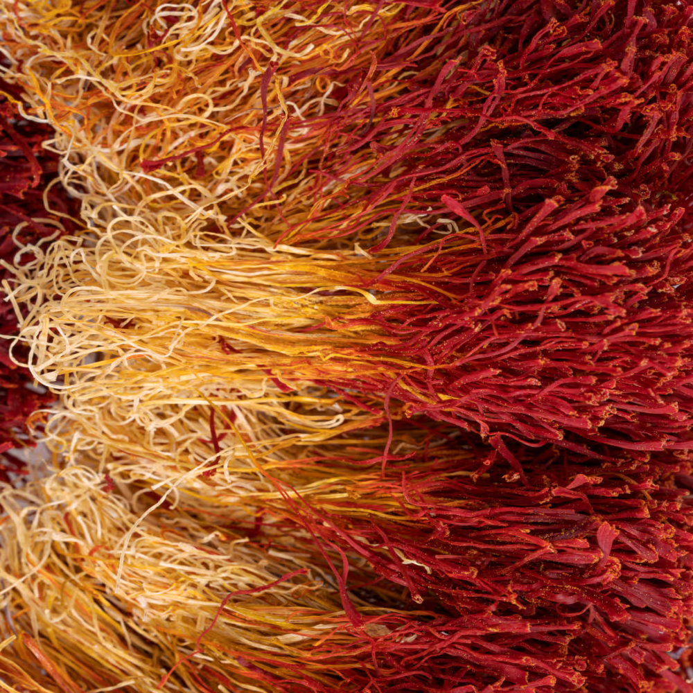 Buy Persian Bunch (dasteh) Saffron from Agroota, Iran | Tradewheel.com