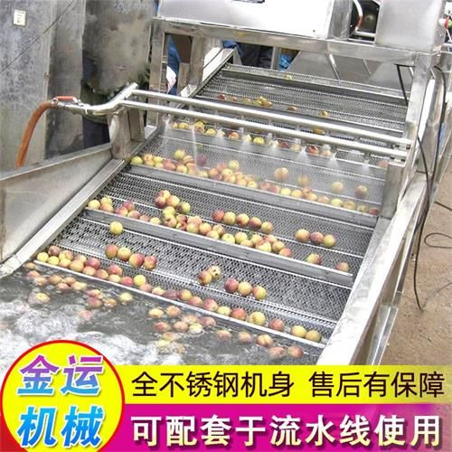 Buy Customizable Bubble Cleaning Machine Vegetable Processing Line ...