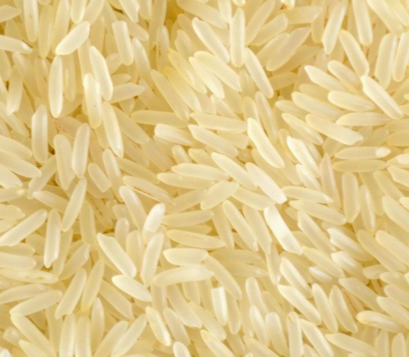Buy Irri-9 White Rice from Inter World Trader's PVT.LTD, Pakistan ...