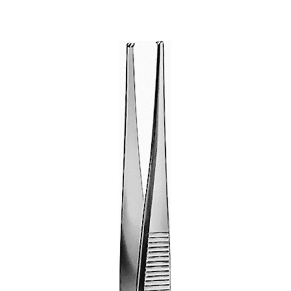 Buy Tissue Forceps, Medium from Apto Enterprises, Pakistan | Tradewheel.com