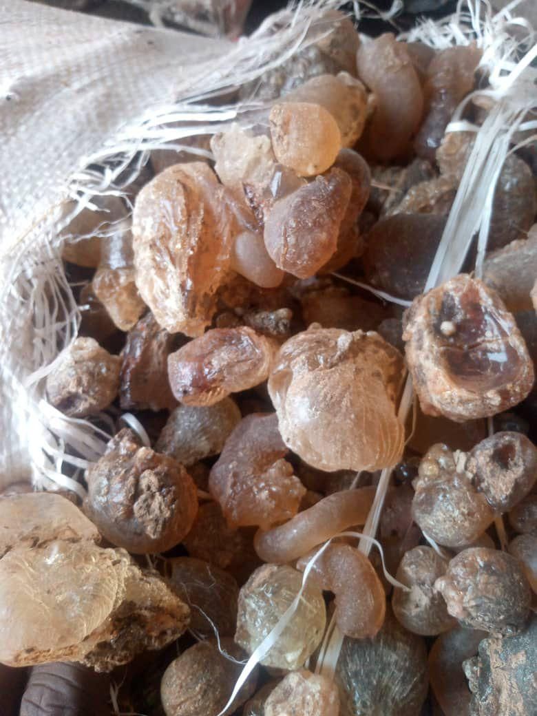 Buy Arabic Gum E414 from Ndjefa SA, France | Tradewheel.com