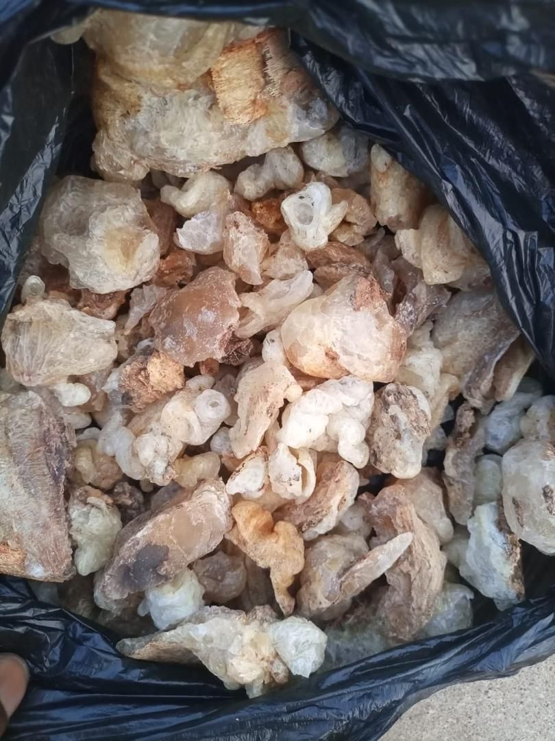 Buy Arabic Gum E414 from Ndjefa SA, France | Tradewheel.com