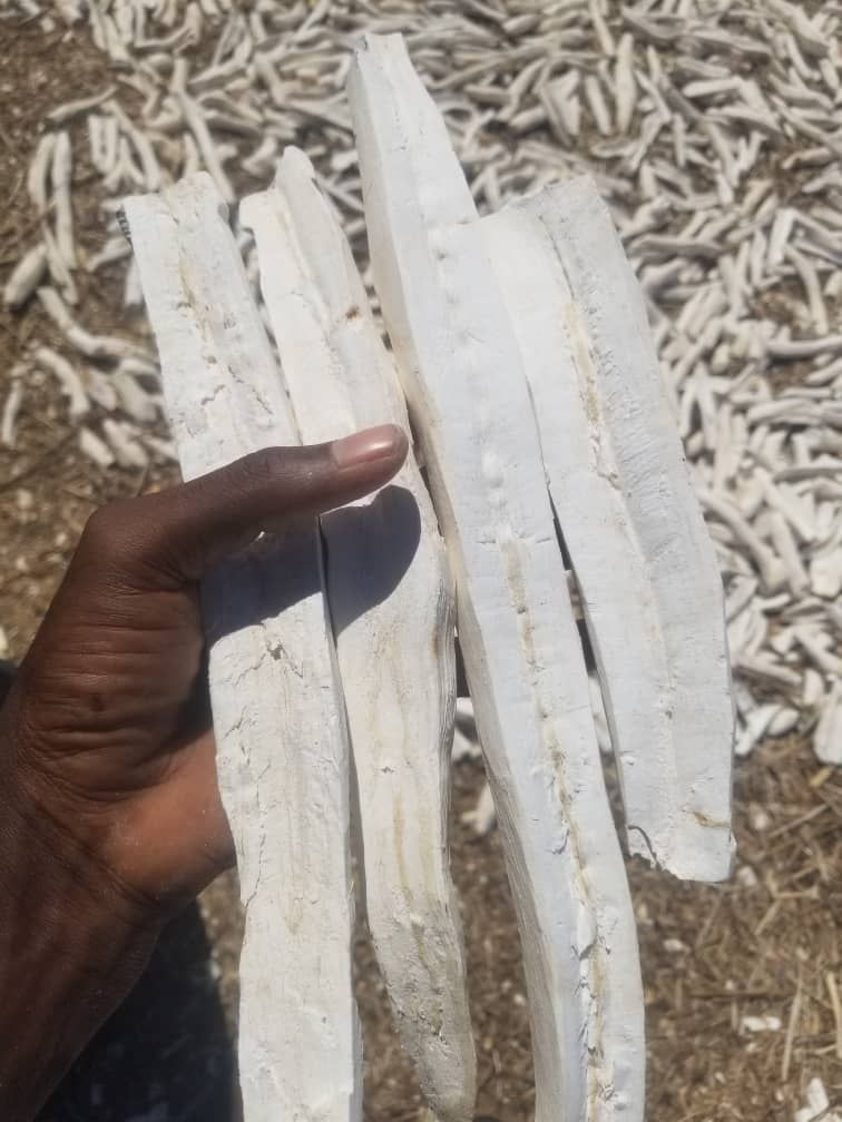 Buy Dried Cassava Chips from E-Speed Limited, Nigeria | Tradewheel.com