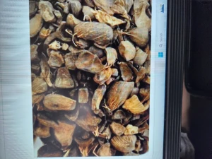 Buy Palm Kernel Shell from Trinity Manufacturing Nigeria Ltd, Nigeria ...