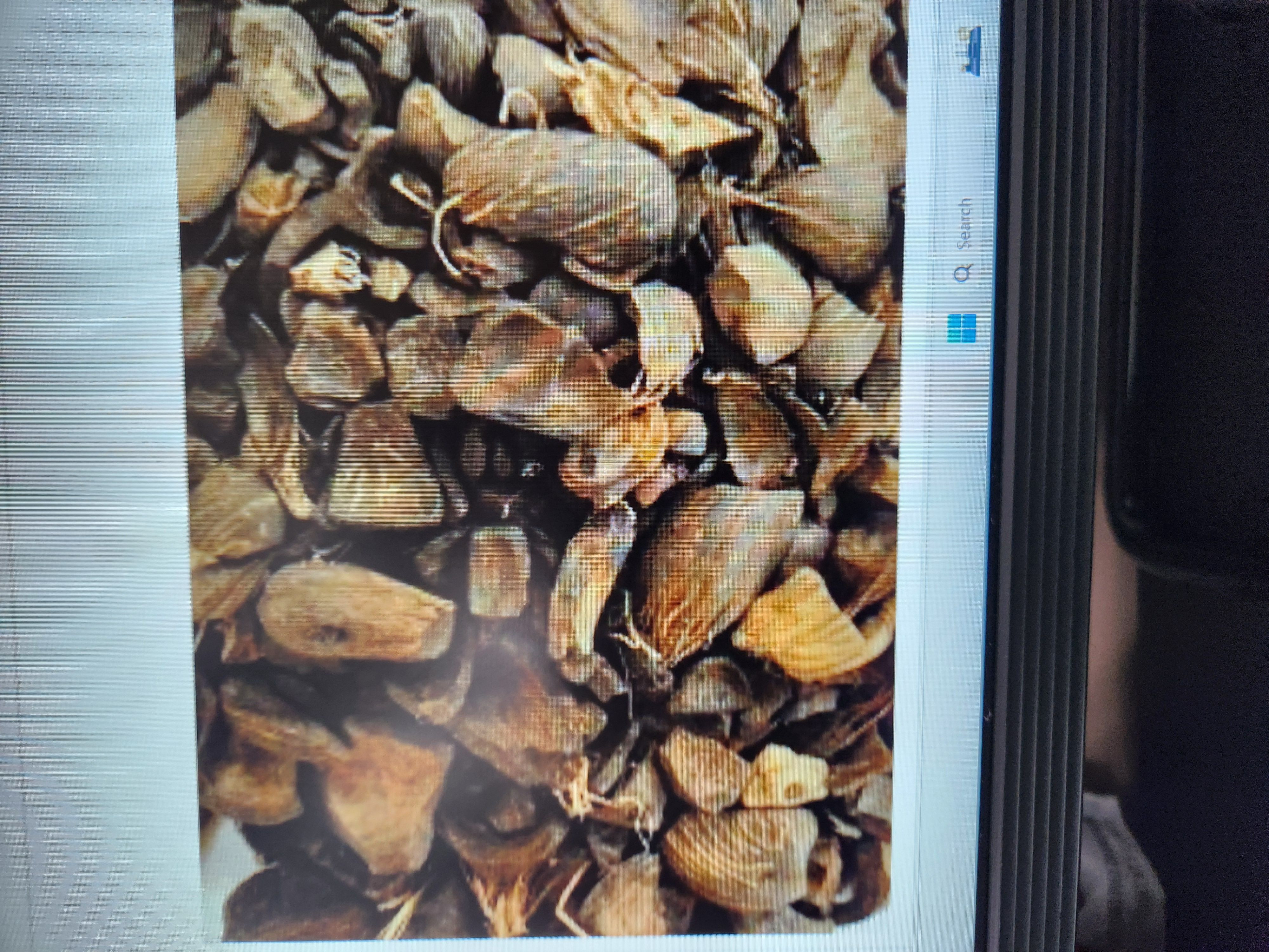 Buy Palm Kernel Shell from Trinity Manufacturing Nigeria Ltd, Nigeria ...