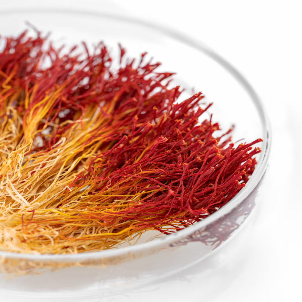 Buy Persian Bunch (dasteh) Saffron from Agroota, Iran | Tradewheel.com
