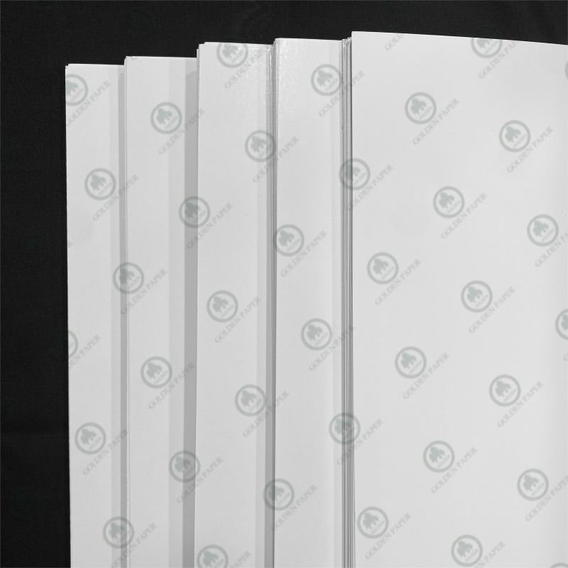 Buy C1s Ivory Board Manufacturer Price Fbb Bristol Board/gc1/gc2 from ...