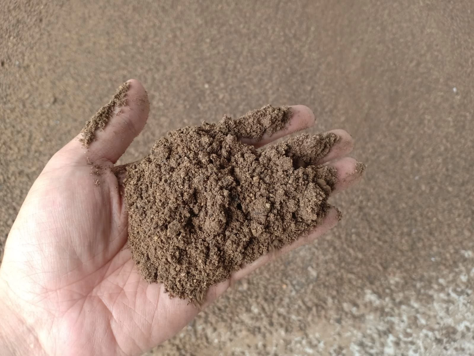 Buy Palm Kernel Meal from PT AGRO MEGA PERKASA, Indonesia | Tradewheel.com