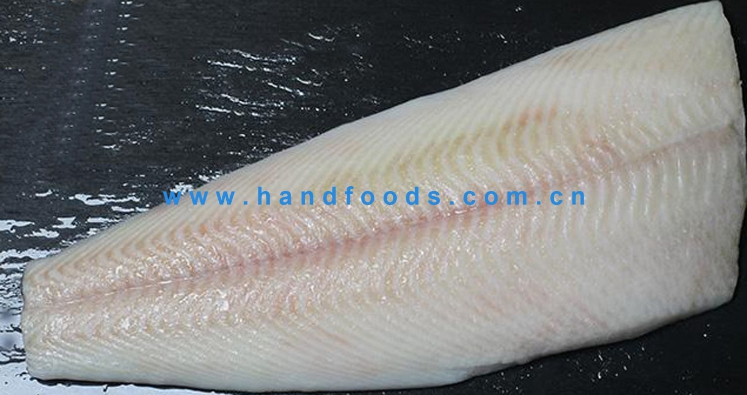 Buy Frozen Pacific Halibut Fillets from Hand Foods (Dalian) Co., Ltd ...