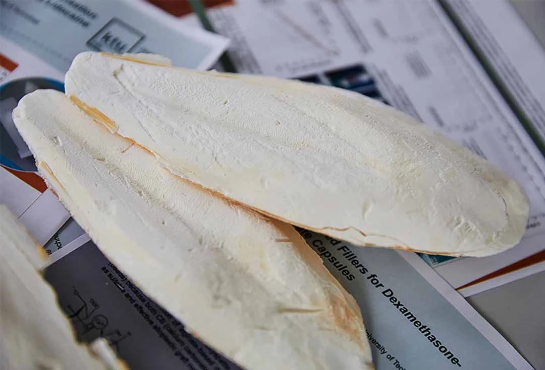 Buy Dried Quality Cuttlefish Bone Competitive Price from Phu Hai Minh ...