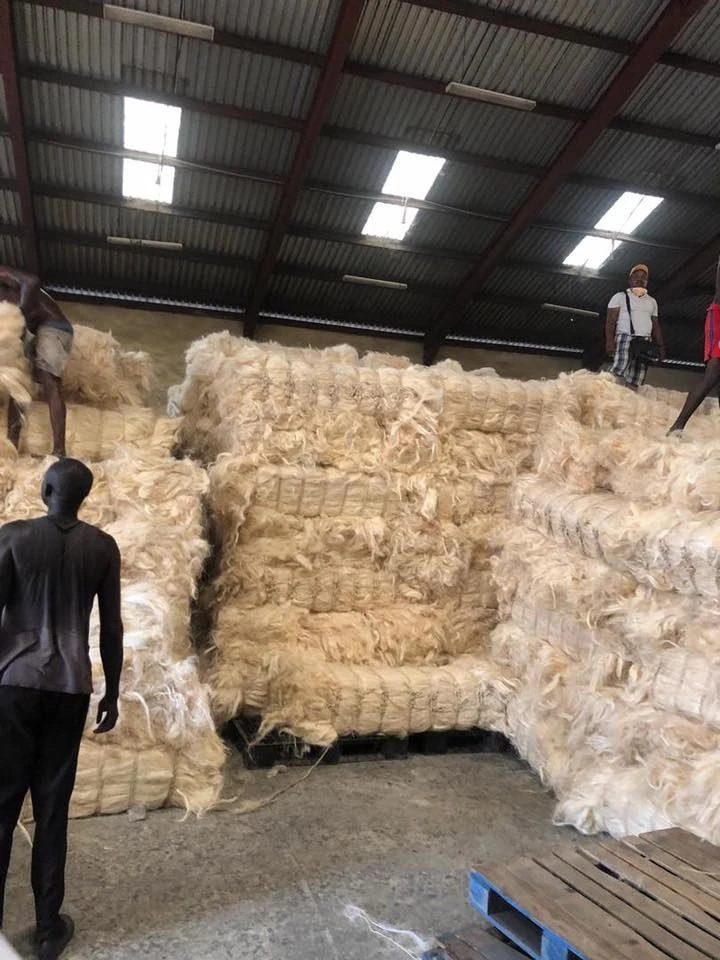 Buy Sisal Fibre Supplier In Kenya - Ug Sisal - Ssug Sisal Whats App ...