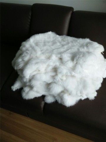 Buy 2 White Luxurious Rex Rabbit Fur Pelts Tanned Hides from Jinan ...