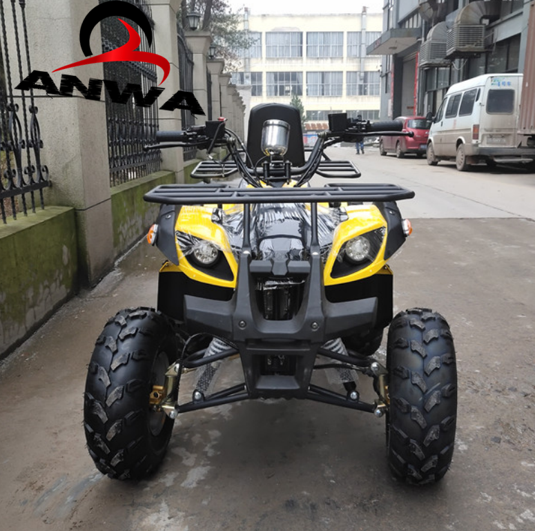 Buy Chinese Cheap Petrol Powered 4 Stroke Quad Atv 125cc from Jinhua ...