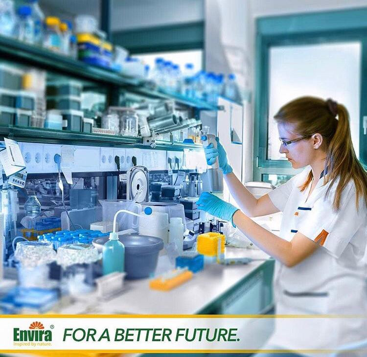 Buy Cockroach Syringe Powerful Anti Cockroach Eliminator Cockroaches ...