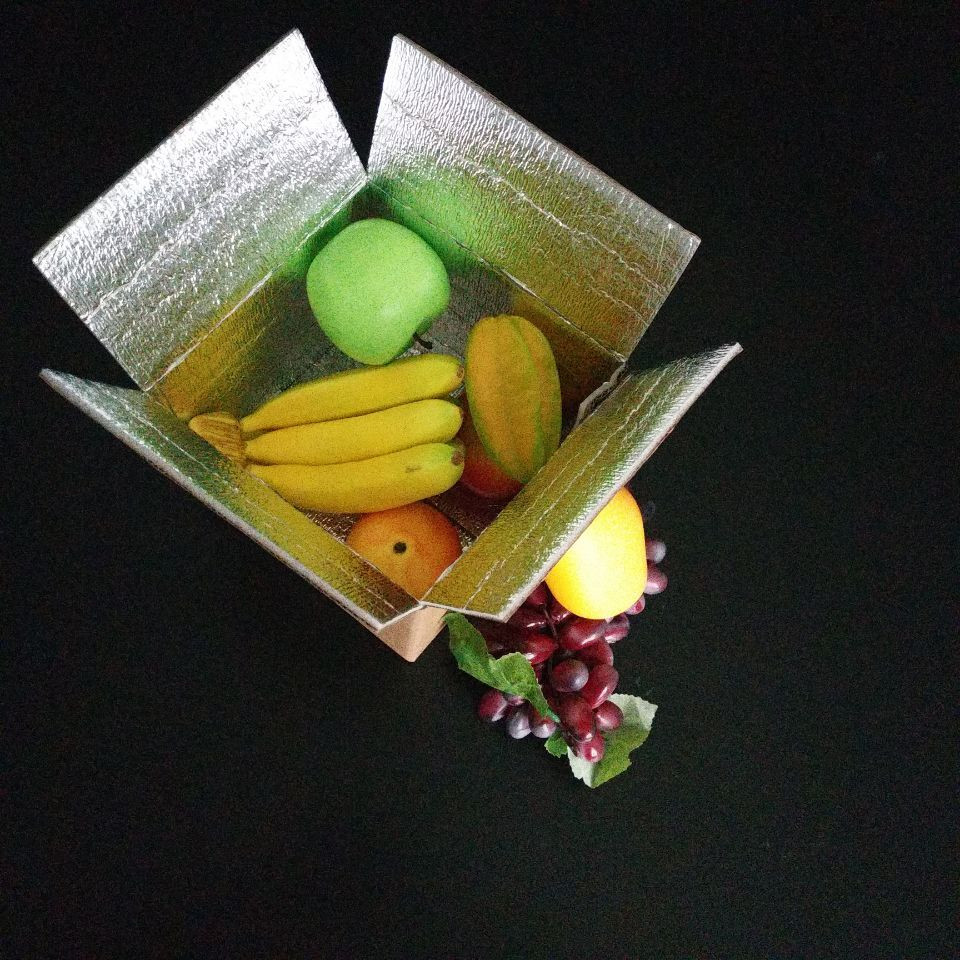 Buy Frozen Food Package Box Paperboard Clamshell Catering Shipping ...