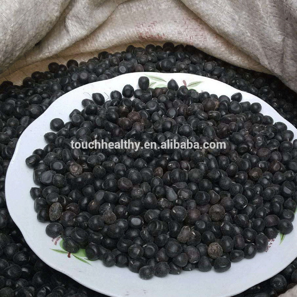 Buy Latest Flower Seeds, Tree Peony Seeds, Peonia Seeds, Seedlings ...